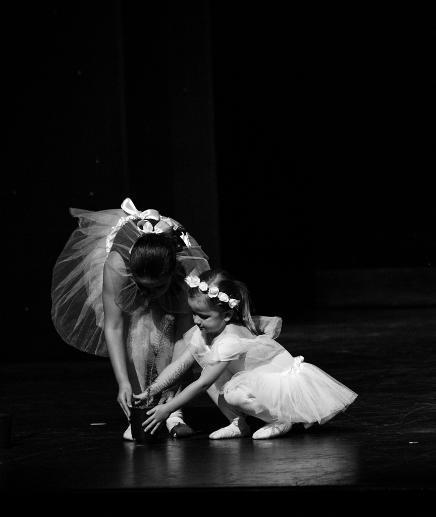 Ana Rita Baeta Neves | ESCOLA DE BALLET ANA RITA BAETA NEVES